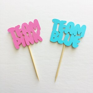 12pc Team Girl Team Boy Cupcake Toppers, Team Pink Team Blue Cupcake ...