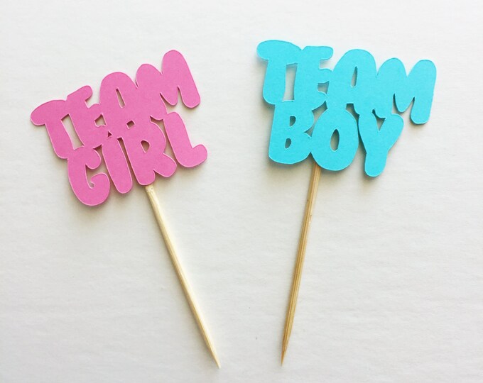 12pc Team Girl Team Boy Cupcake Toppers, Team Pink Team Blue Cupcake ...