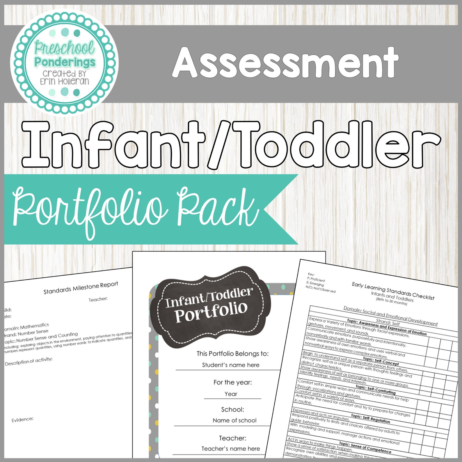Infant Toddler Standards Portfolio Pack - Etsy