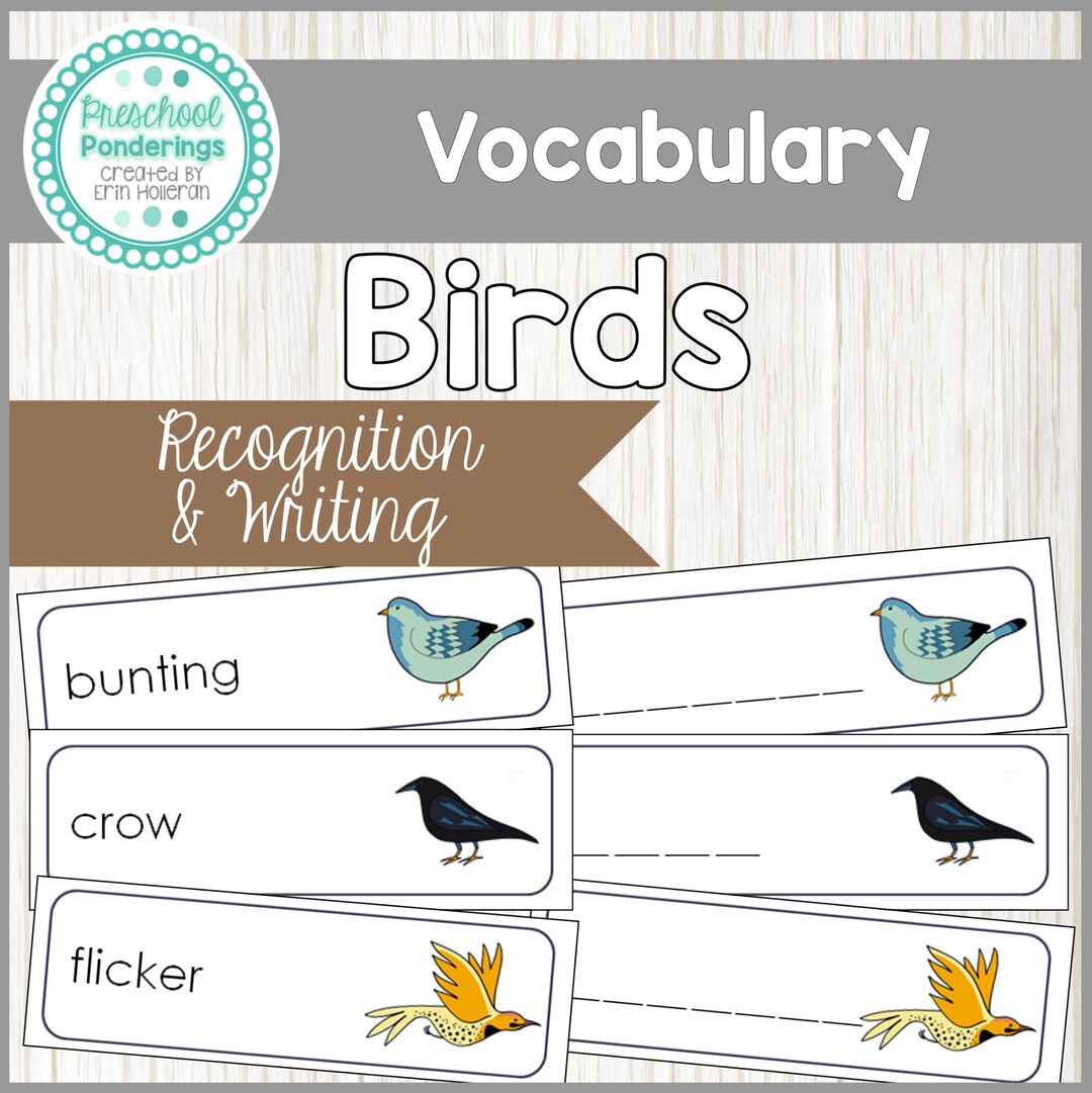 Bird Vocabulary Cards and Spelling Practice - Preschool Language - Etsy
