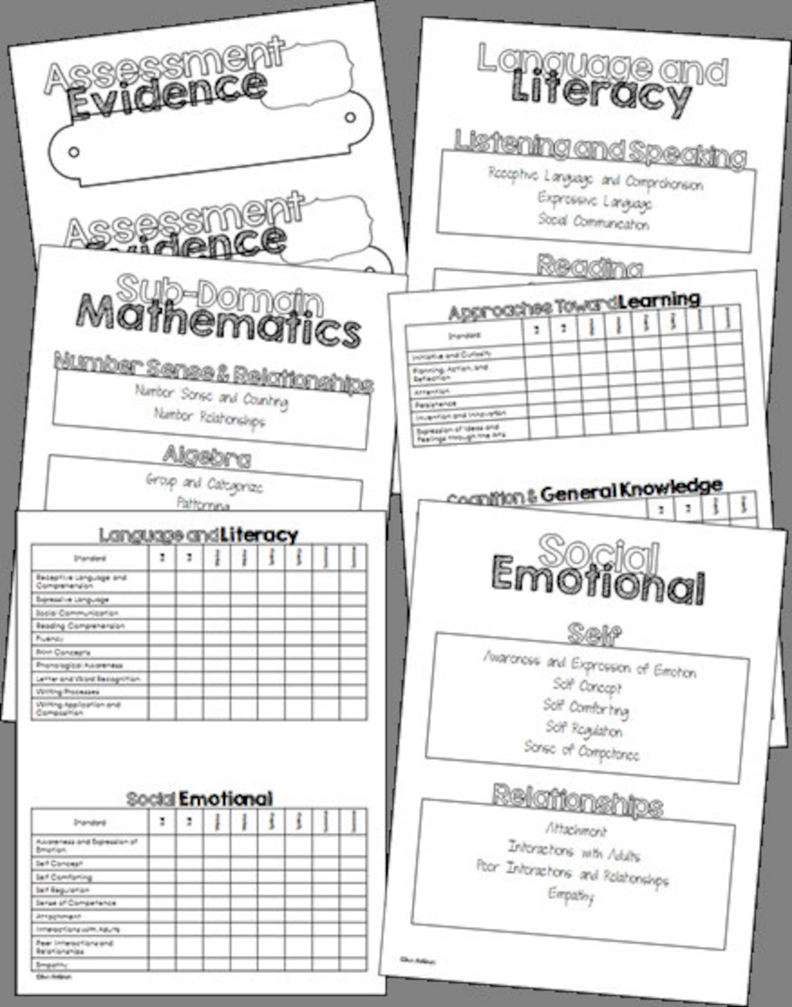 Assessment Evidence Collection System - Infant Toddler Preschool - Etsy