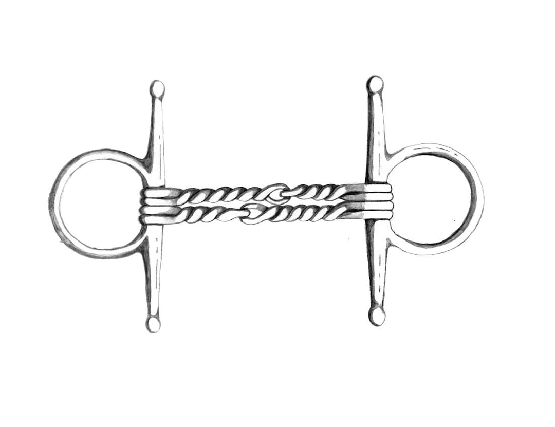 Double Wire Full Cheek Snaffle - Etsy