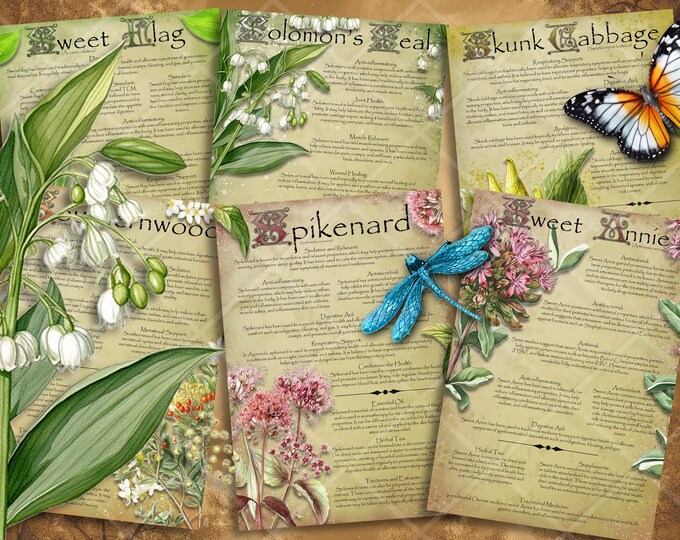 HERBAL BODY MAP - Etsy Canada