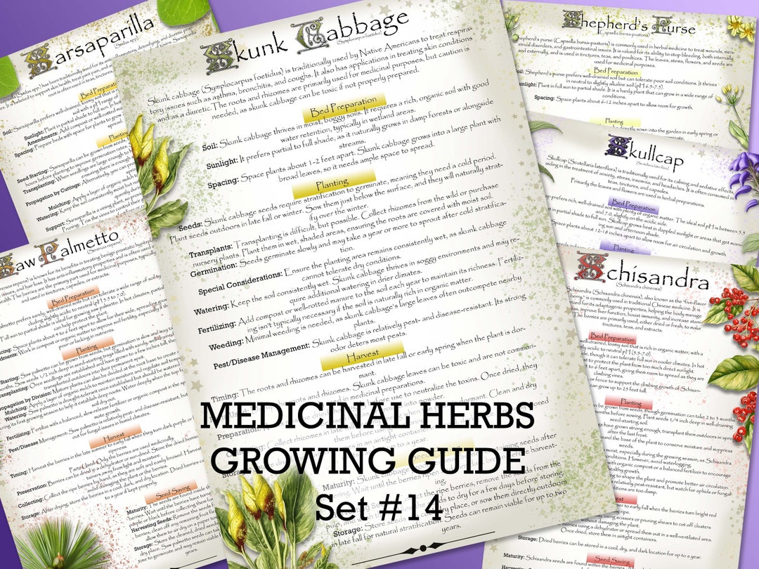 Medicinal Herb Growing Guide Set 14 | Download PDF |A4, A5, US Letter ...