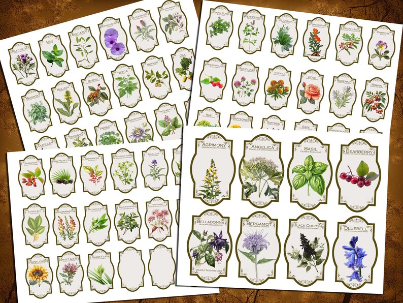 Apothecary Labels. 145 Unique Labels for Medicinal and Magical Herbs ...