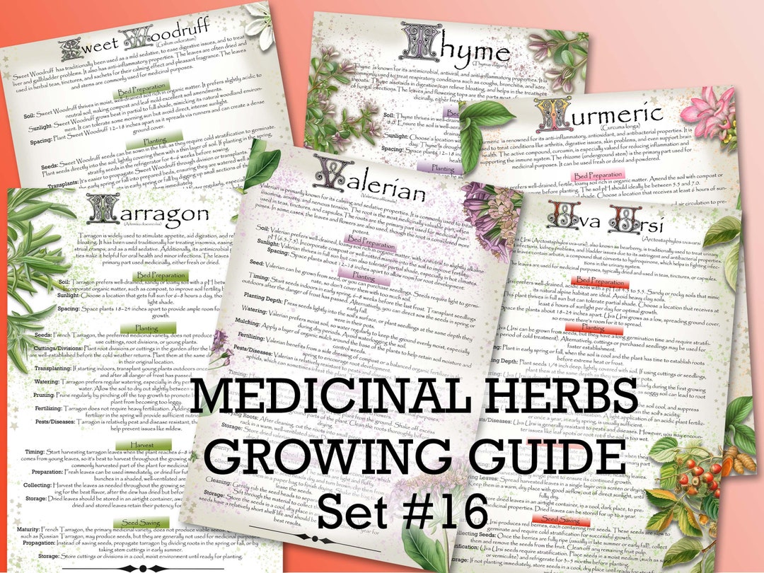 Medicinal Herb Growing Guide: Herbalist Gardening Set (download PDF) - Etsy