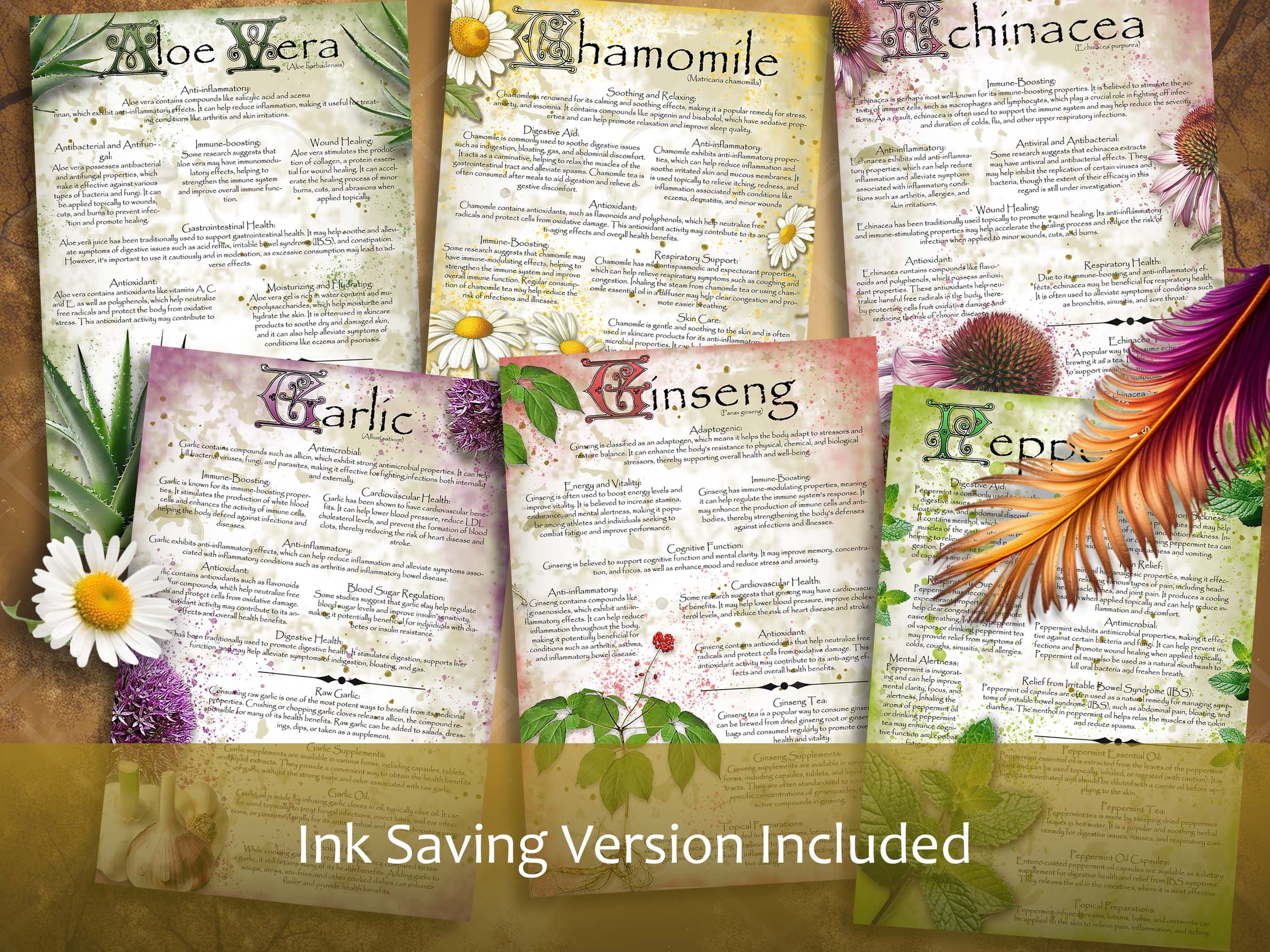 Herbal Wisdom: Illustrated Medicinal Herb Pages Set 1. Natural Remedy ...