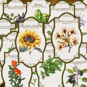 Apothecary Labels. 145 Unique Labels for Medicinal and Magical Herbs ...