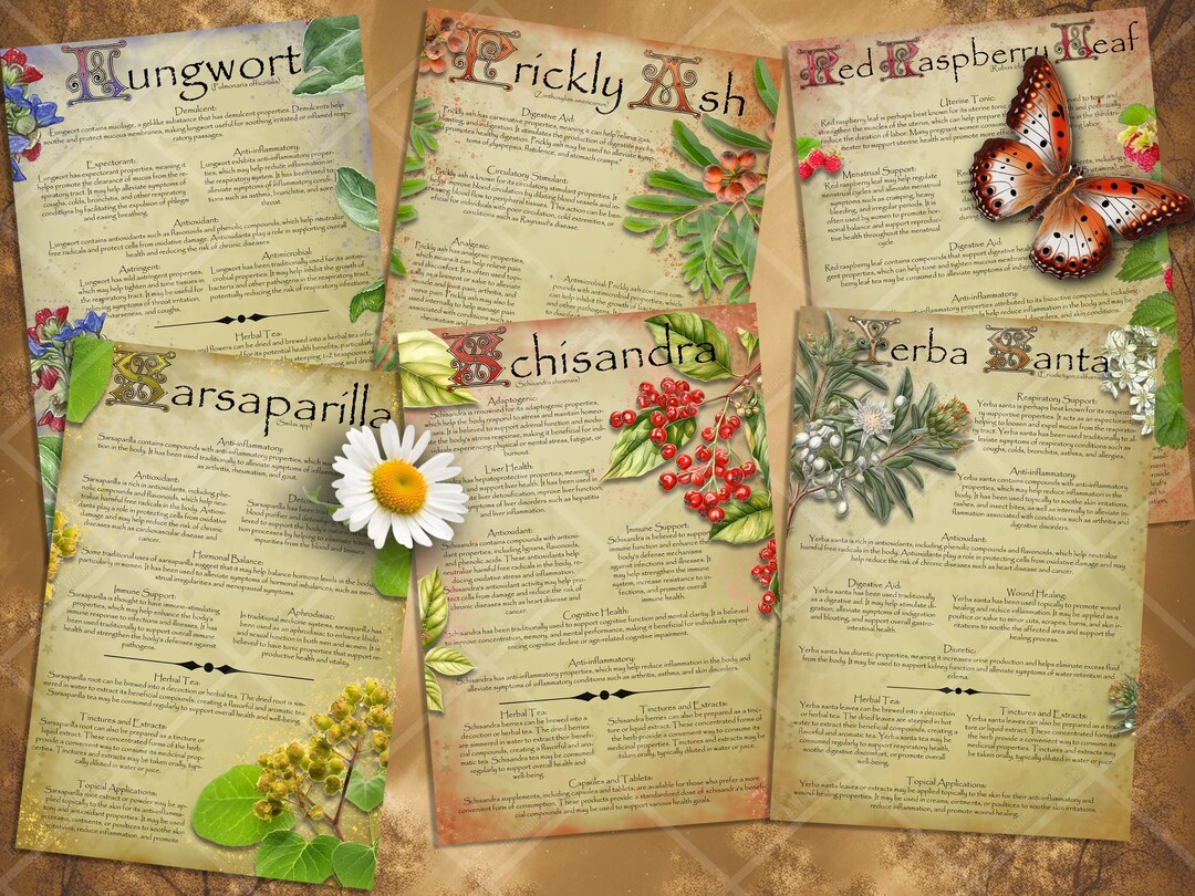 Herbal Wisdom: Illustrated Medicinal Herb Pages Set 15. Natural Remedy ...