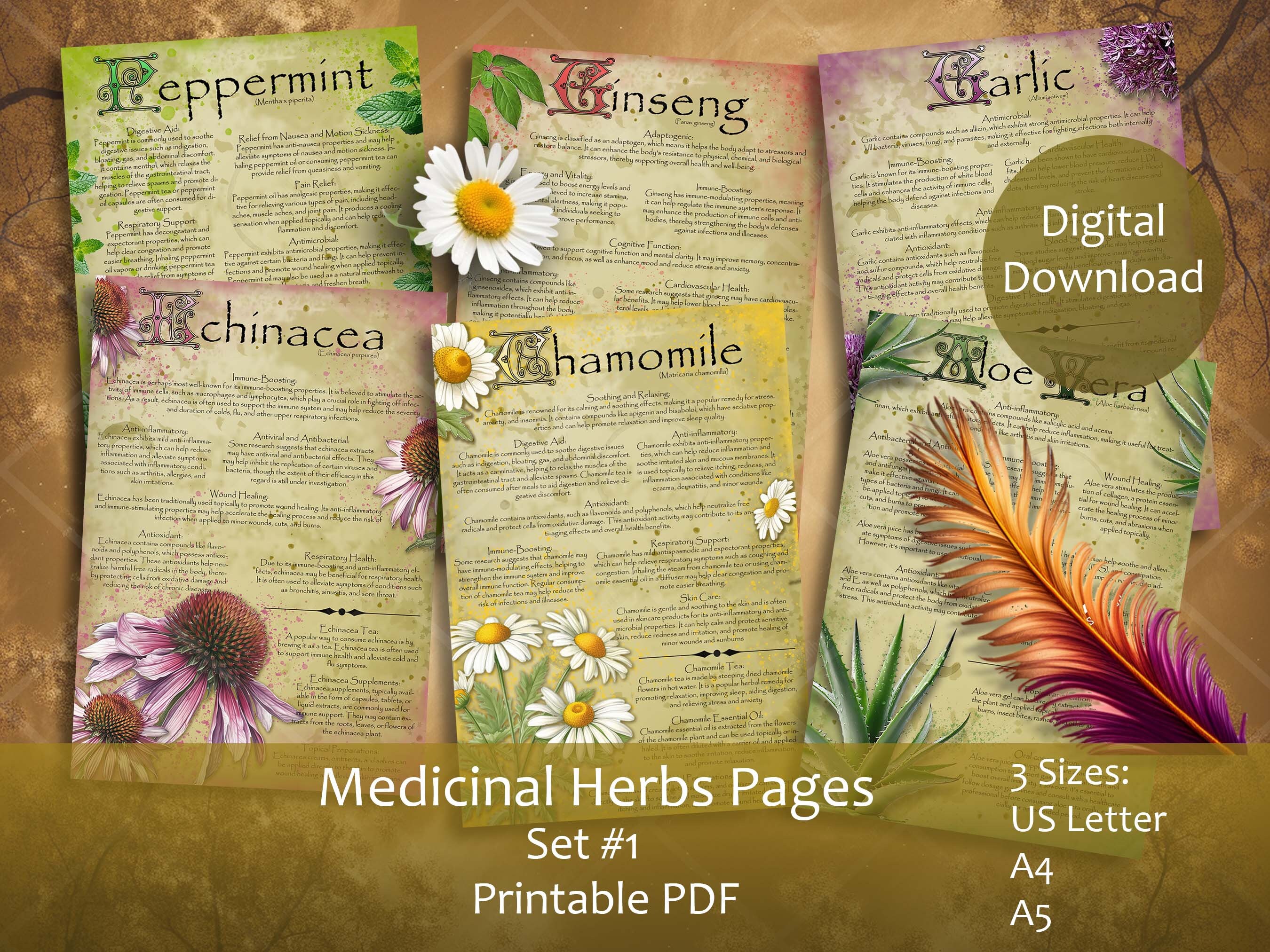 Herbal Wisdom: Illustrated Medicinal Herb Pages Set 1. Natural Remedy ...