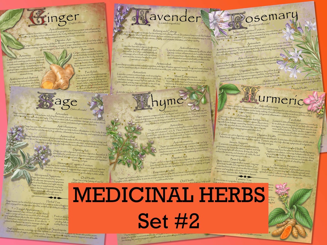 Herbal Wisdom: Illustrated Medicinal Herb Pages Set 2. Natural Remedy ...