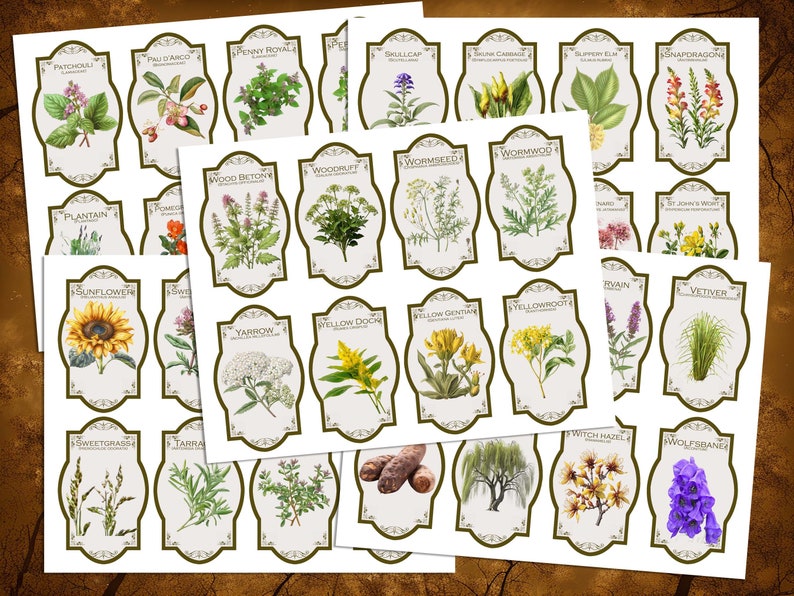 Apothecary Labels. 145 Unique Labels for Medicinal and Magical Herbs ...