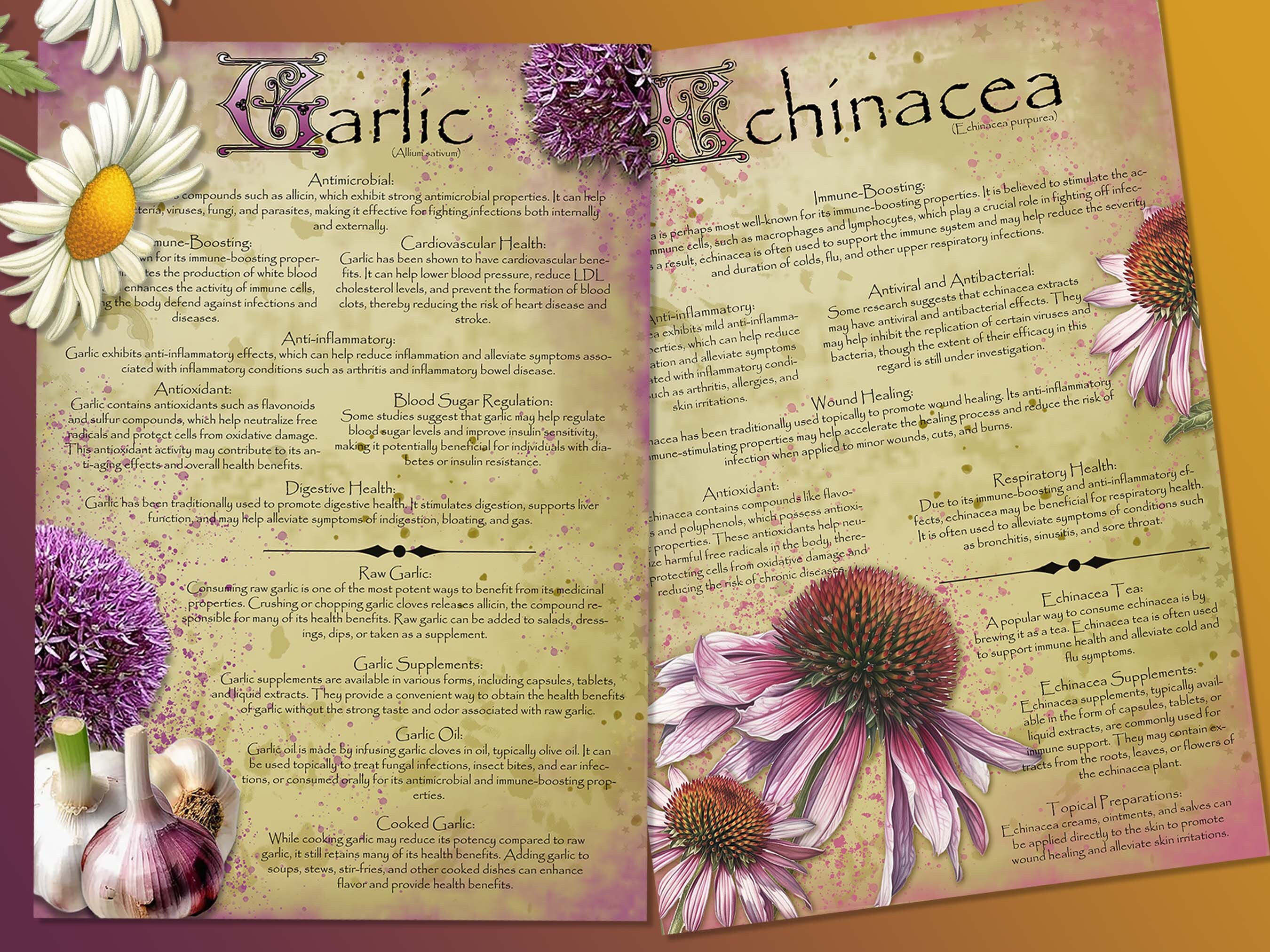 Herbal Wisdom: Illustrated Medicinal Herb Pages Set 1. Natural Remedy ...