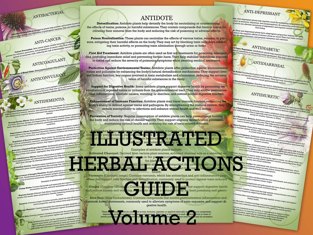 Illustrated Herbal Actions Guide Volume 2 Set of 10 Digital PDF Pages ...