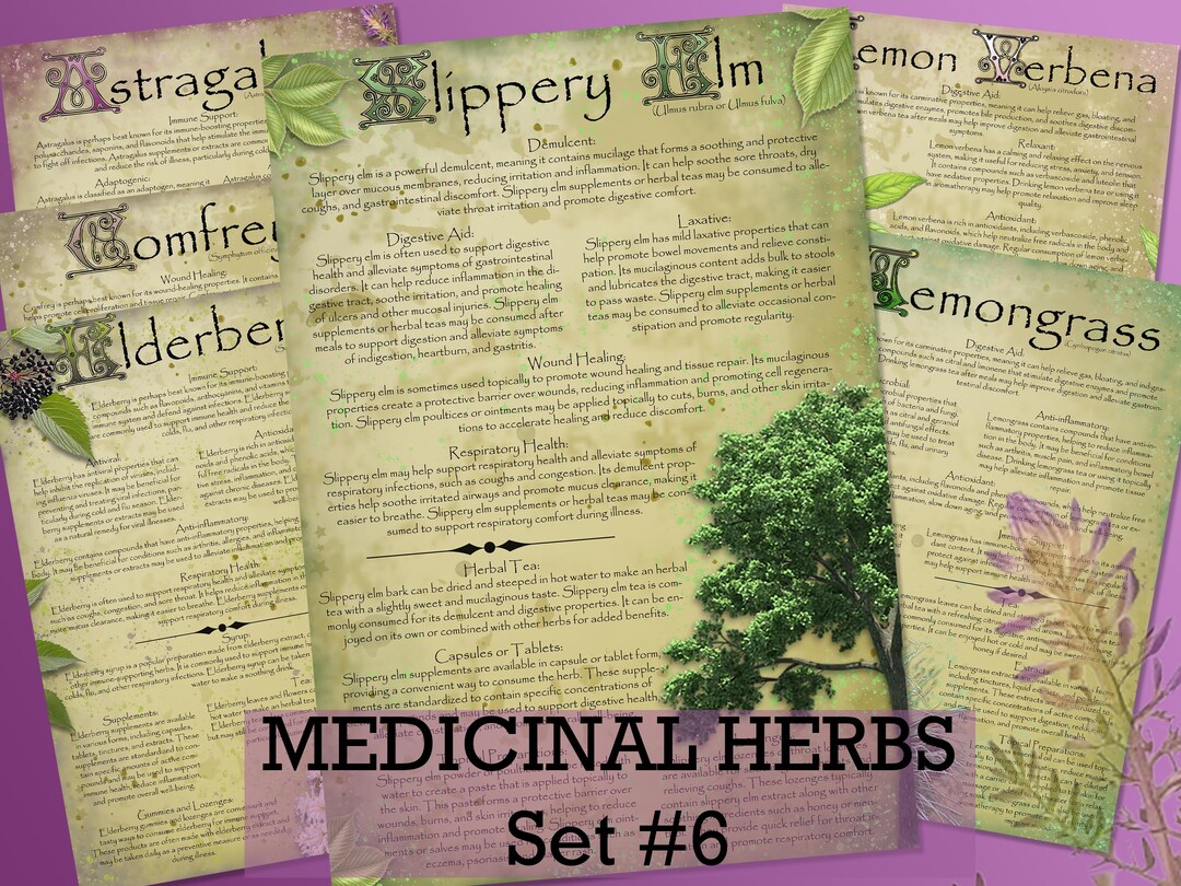 Herbal Wisdom: Illustrated Medicinal Herb Pages Set 7. Natural Remedy ...