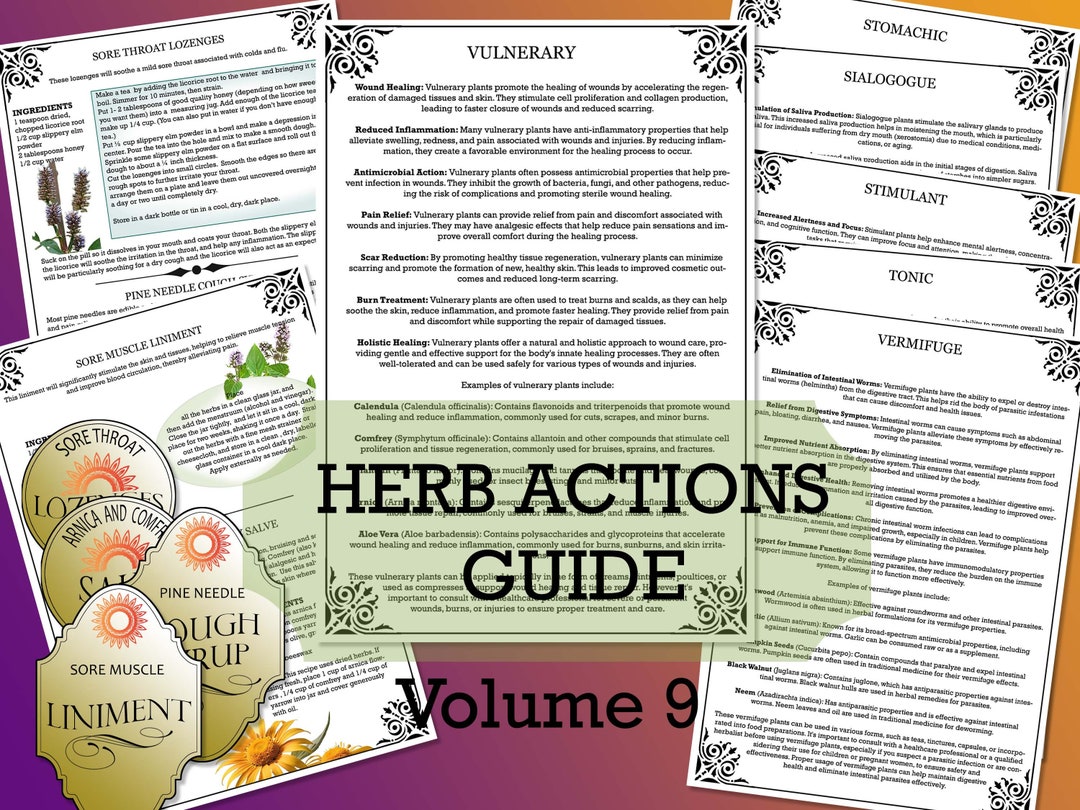 Herb Actions Guide Volume 9 - Set of 8 Digital PDF Pages. Includes 4 ...