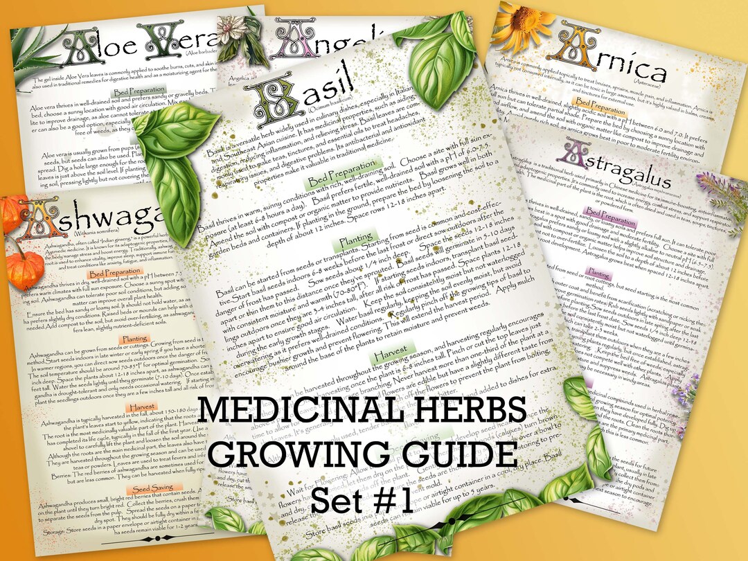 Medicinal Herb Growing Guide Set 1 | Digital Download PDF | Herbalist ...