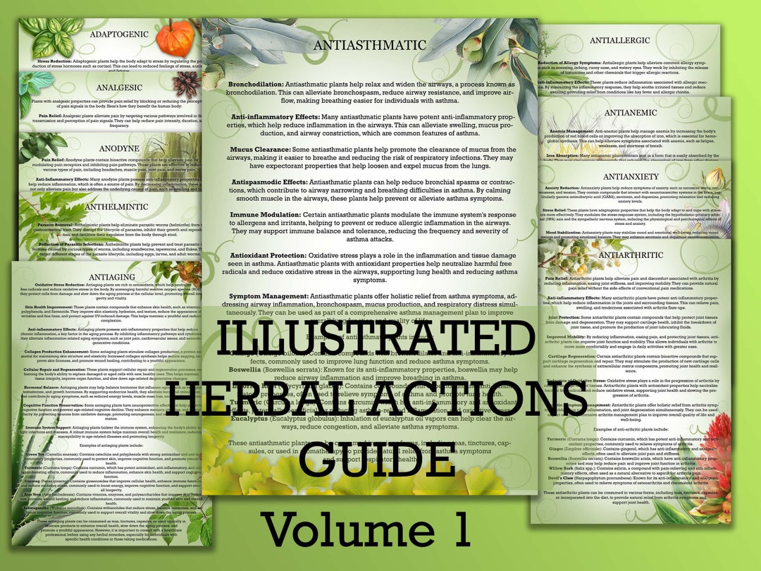 Illustrated Herbal Actions Guide Volume 1- Set of 10 Digital PDF Pages ...