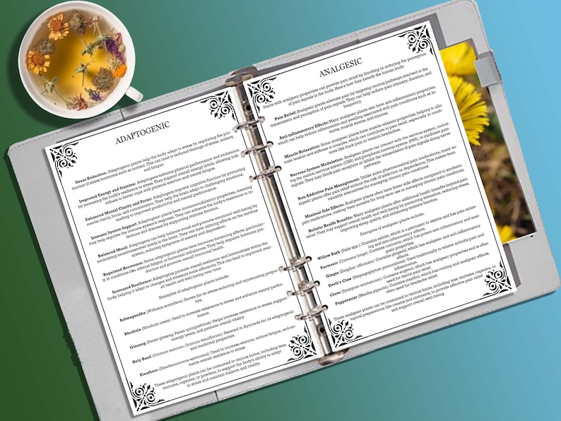 Herbal Actions Guide Volume 1 - Set of 10 PDF Pages. Herbal Studies ...