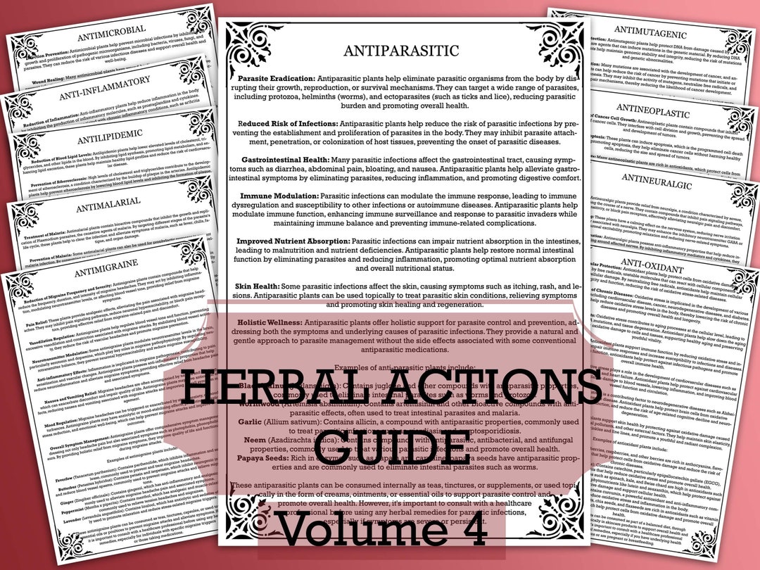 Herbal Actions Guide Vol 4 Set of 10 PDF Pages. Herbal Studies Materia ...