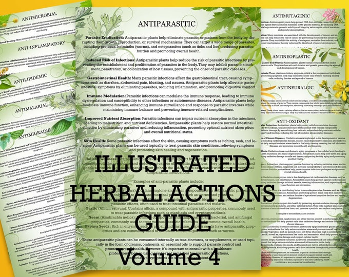 Herbal Monograph Template Materia Medica herbal Studies apothecary ...