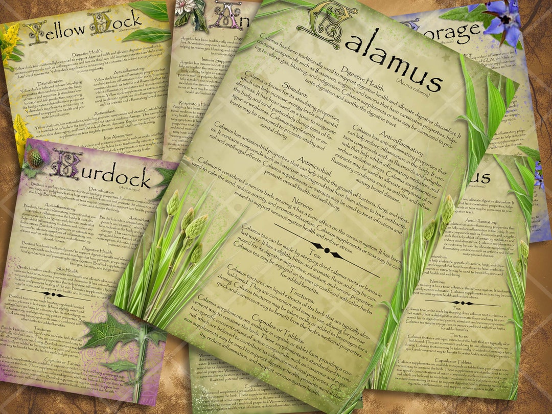 Herbal Wisdom: Illustrated Medicinal Herb Pages Set 11. Natural Remedy ...
