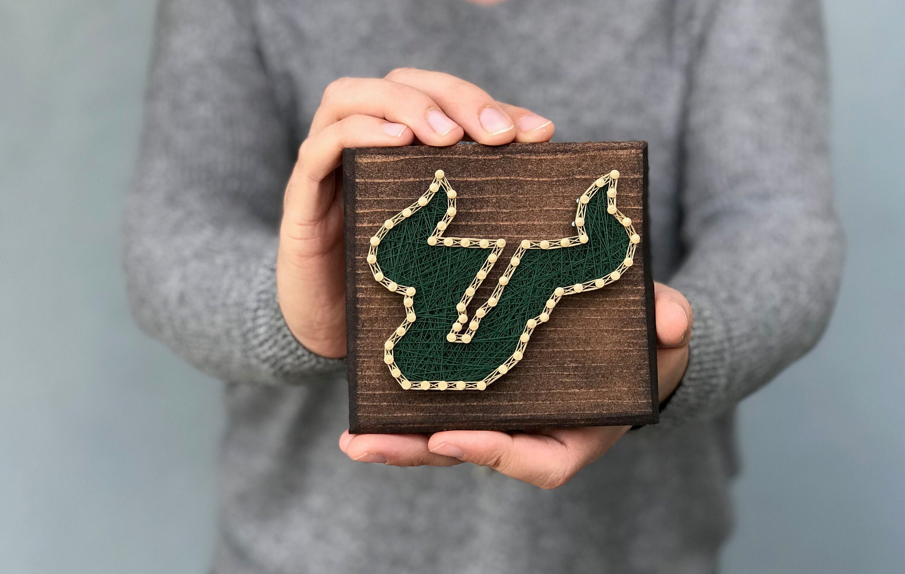 Usf Football Logo Small