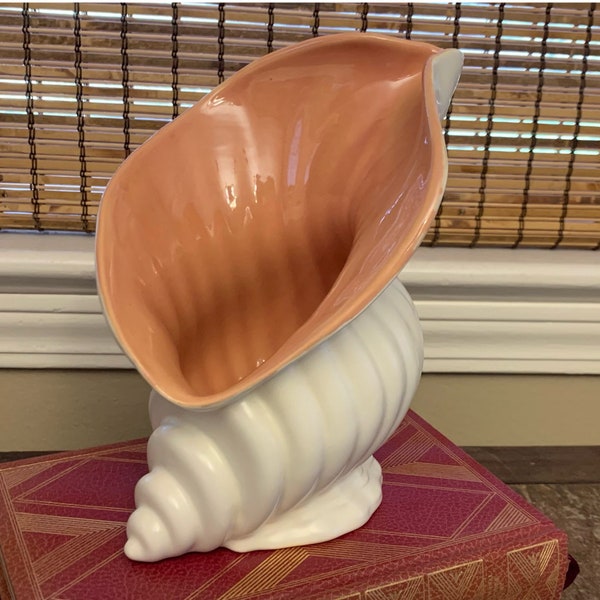 Conch Shell Planter - Etsy