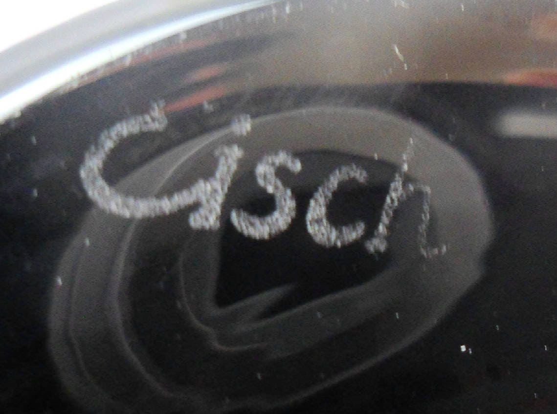 Eisch Glass Stem Vase in Black Glass With Iridescent Oil Spot | Etsy