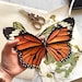 Monarch Butterfly Paper Specimen Digital Download (bug, Insect ...