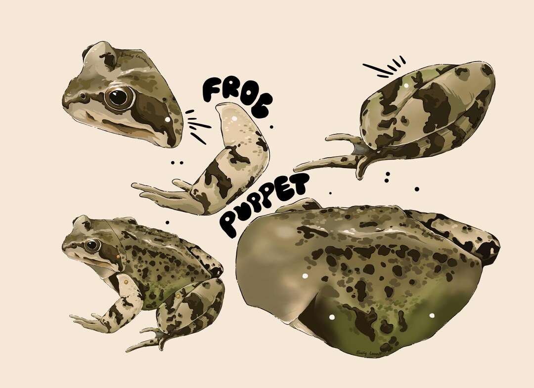 Frog Paper Specimen Digital Download (amphibian, Frog, Toad, Natural ...