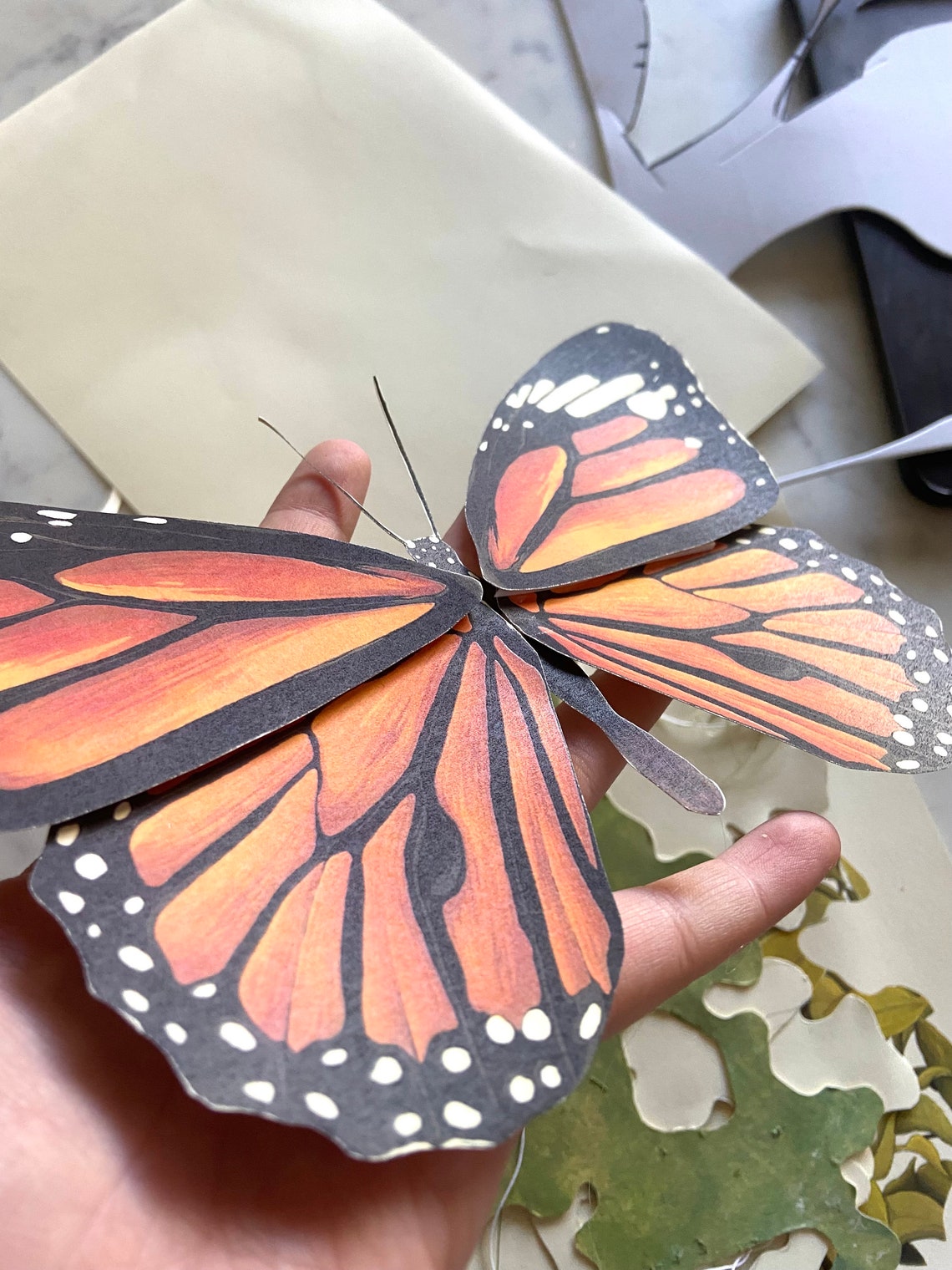 Monarch Butterfly Paper Specimen Digital Download (bug, Insect ...
