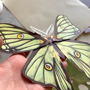 Luna Moth Paper Specimen Digital Download (bug, Insect, Entomology ...