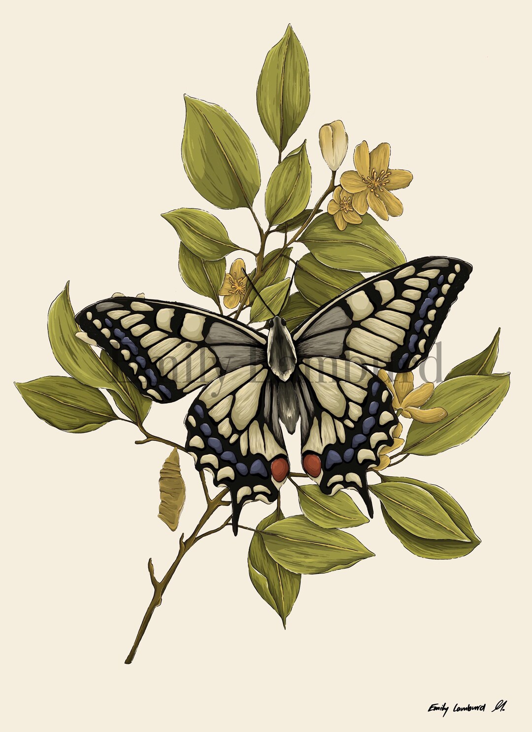 Swallowtail Butterfly Digital Download Illustration - Etsy