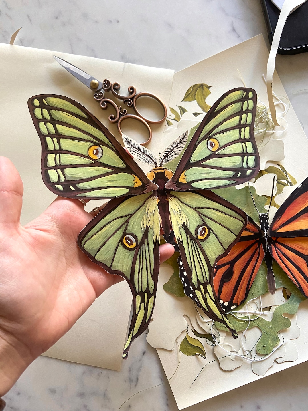 Luna Moth Paper Specimen Digital Download (bug, Insect, Entomology ...