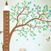 Tree Wall Decal With Growth Chart Tree Wall Sticker With Animals Kids ...
