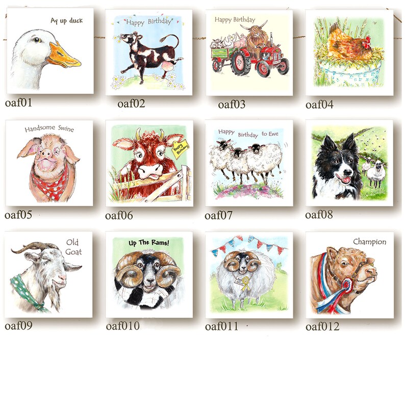 Happy Birthday Pig Card Three Little Pigs Pigs Greeting - Etsy UK