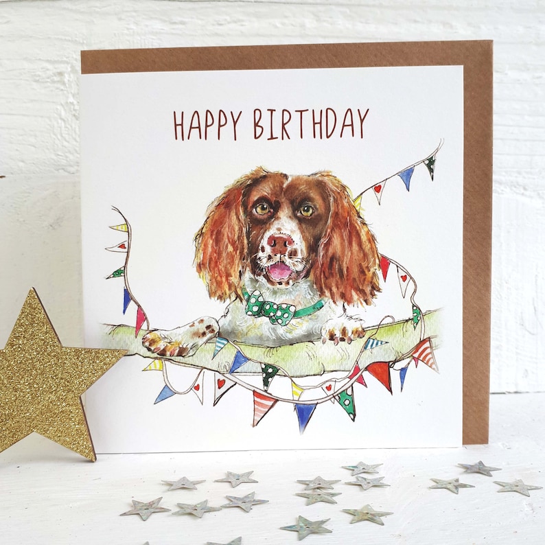 Springer Spaniel Birthday Card Dog Birthday Card Springer - Etsy UK