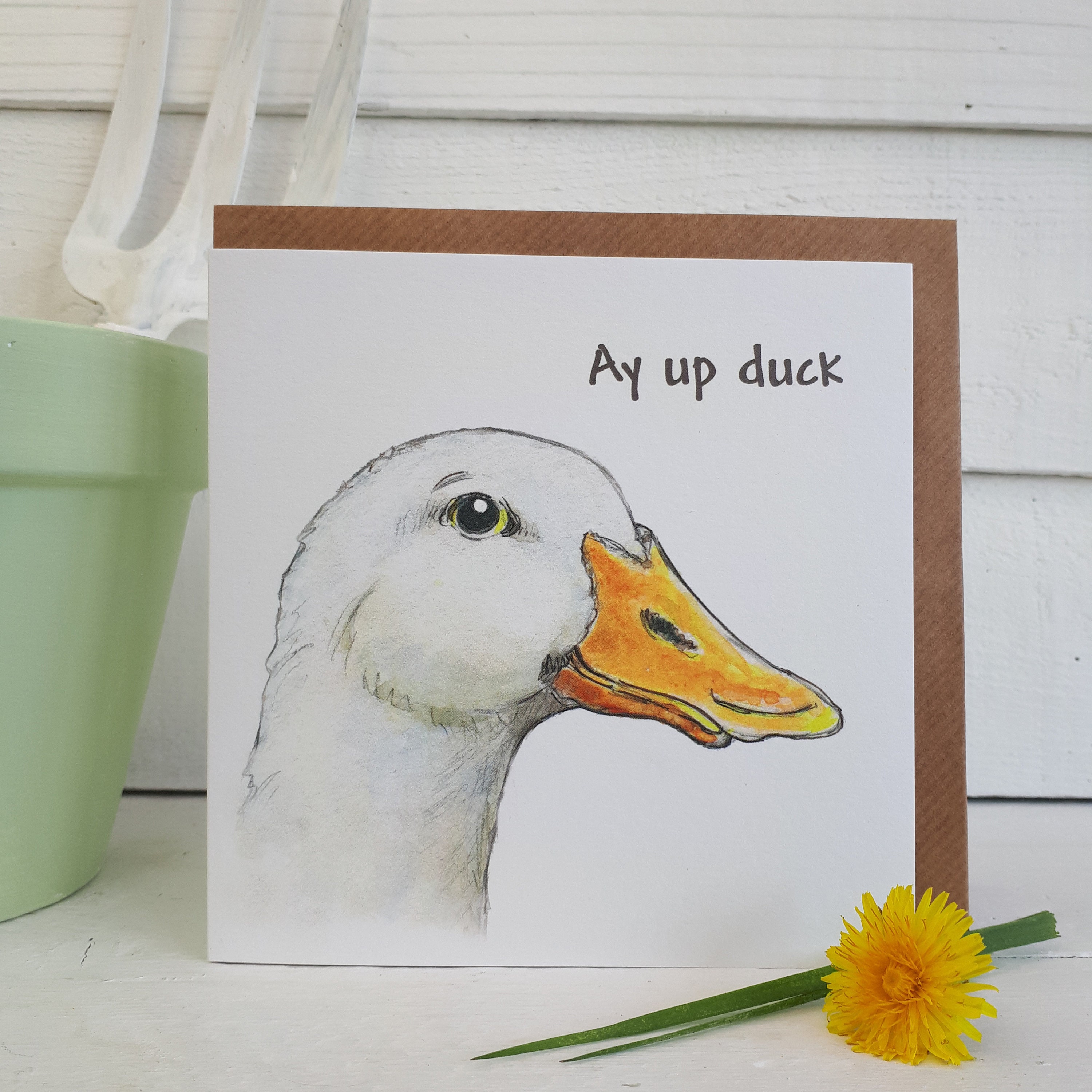 Duck Greetings Card , "ay up Duck", Humorous Watercolor Farm Animal ...