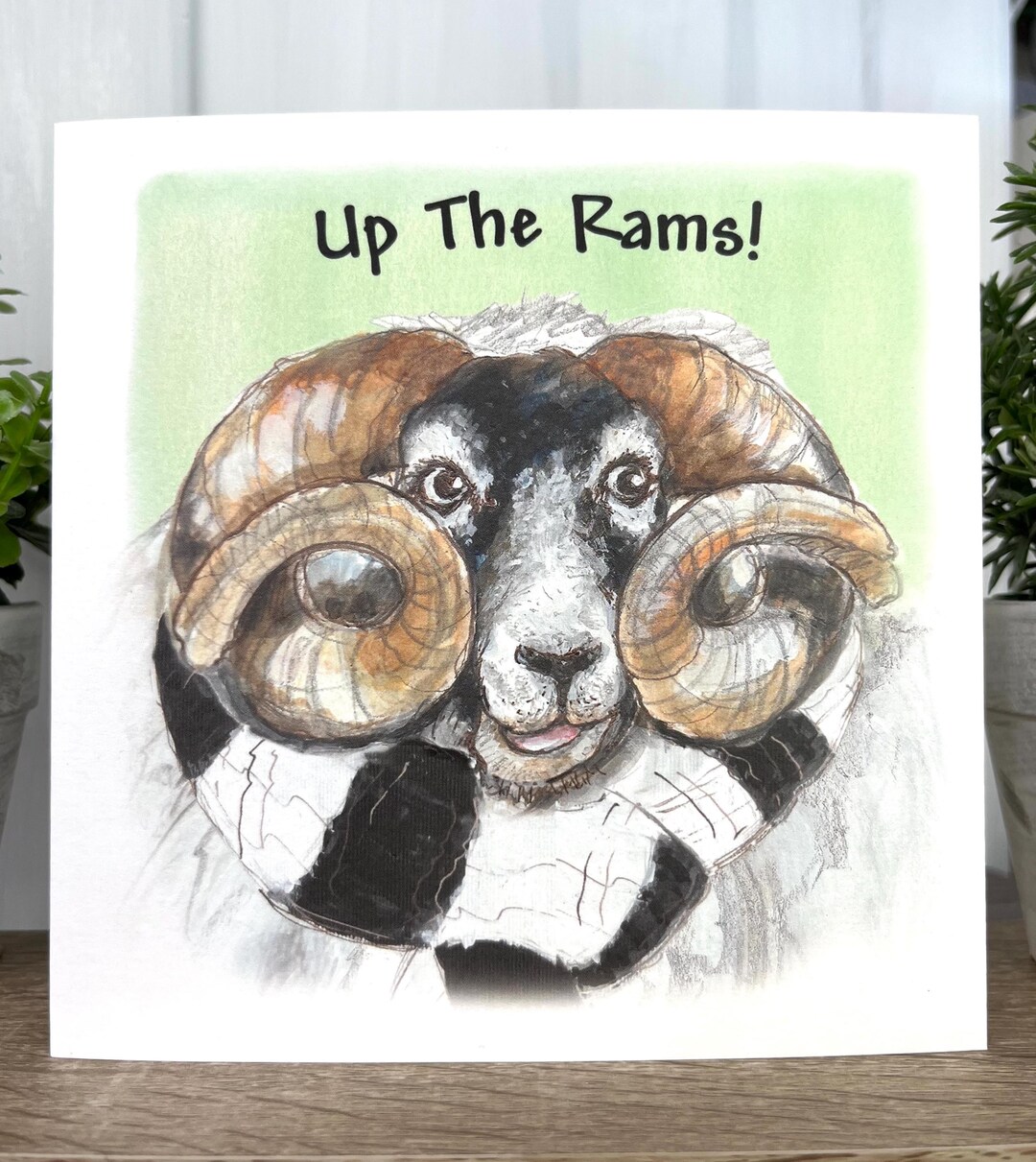 Sheep Greetings Card - Ram Card - up the Rams - Derby County Greeting ...