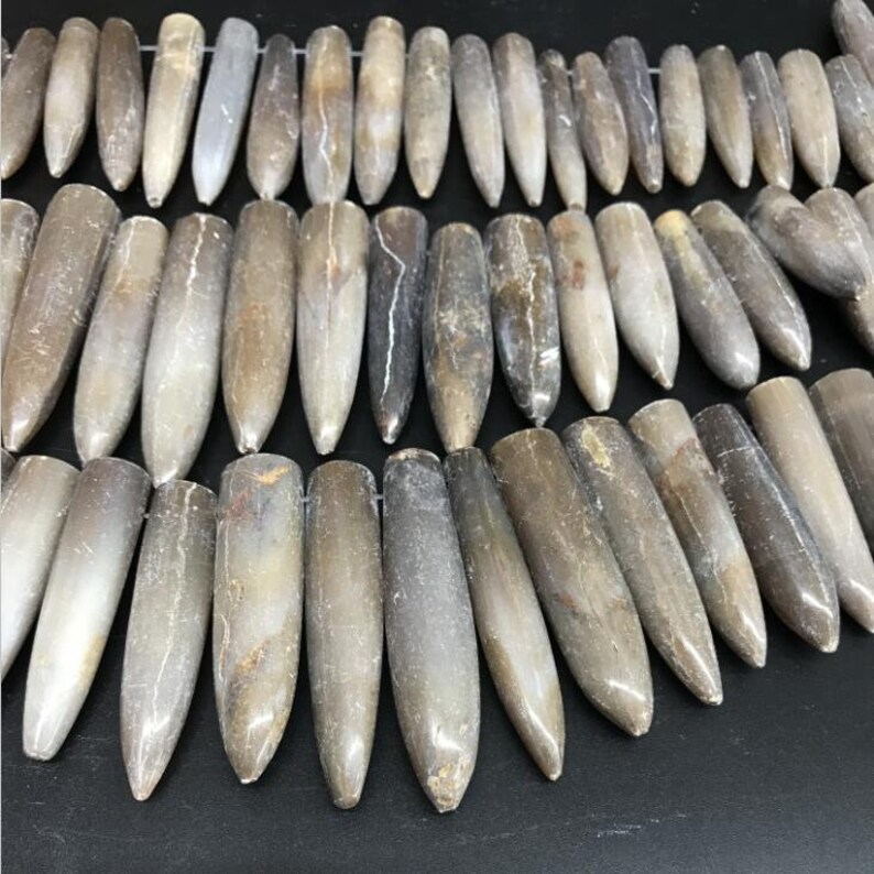 New ArrivalRough Sea Urchin Fossil Bullet PointsGraduated | Etsy