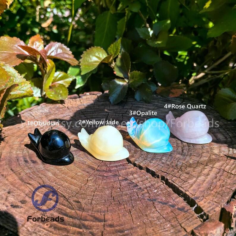 India Agate Carved Snail Figurine, Healing Crystal Decor - Etsy UK