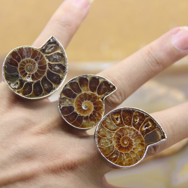 Ammonite Jewelry - Etsy