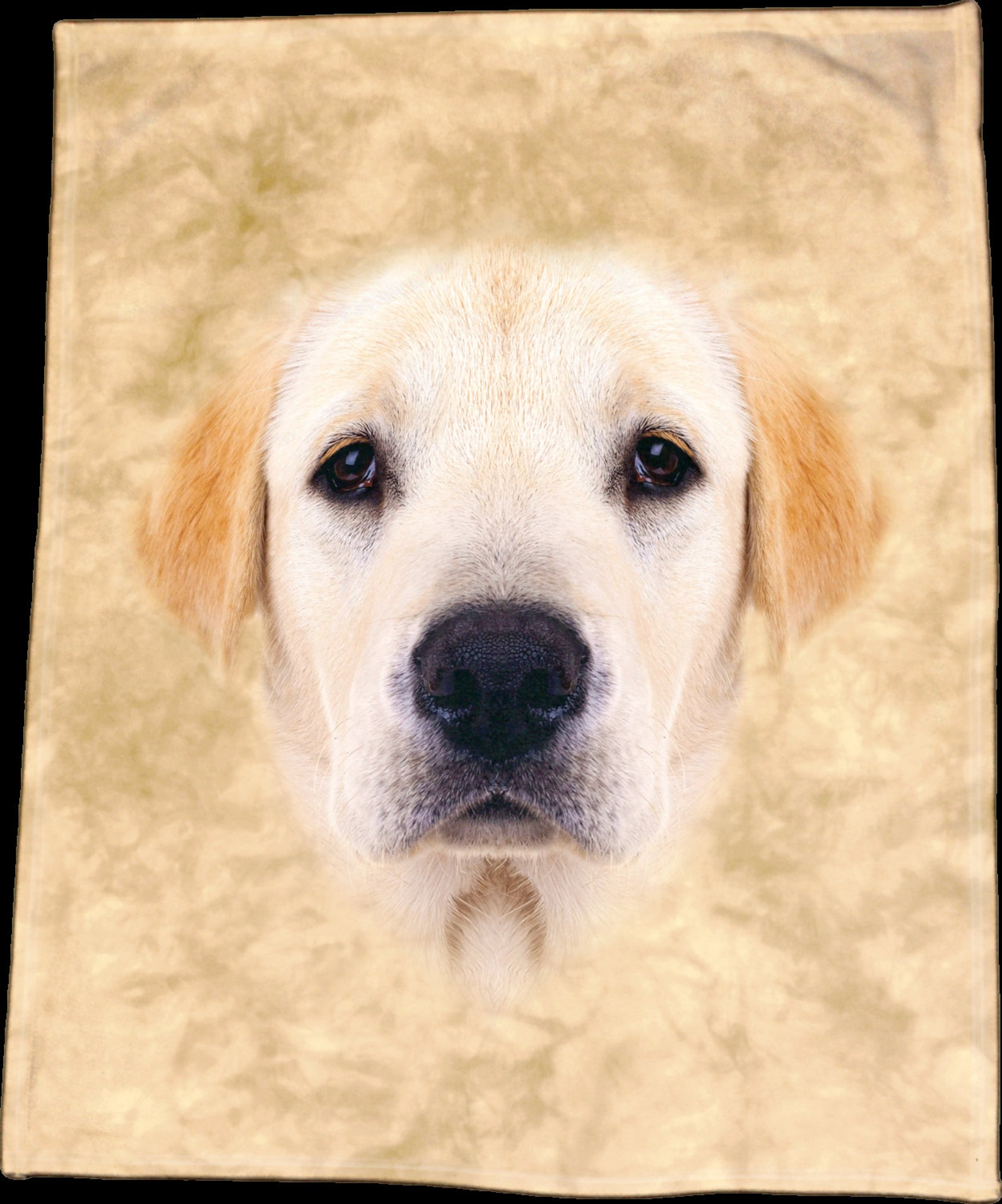 Yellow Labrador Face Throw Blanket / Tapestry Wall Hanging - Etsy