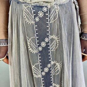 1910s Net of Love Dress | Vintage Teens Antique Edwardian Periwinkle ...