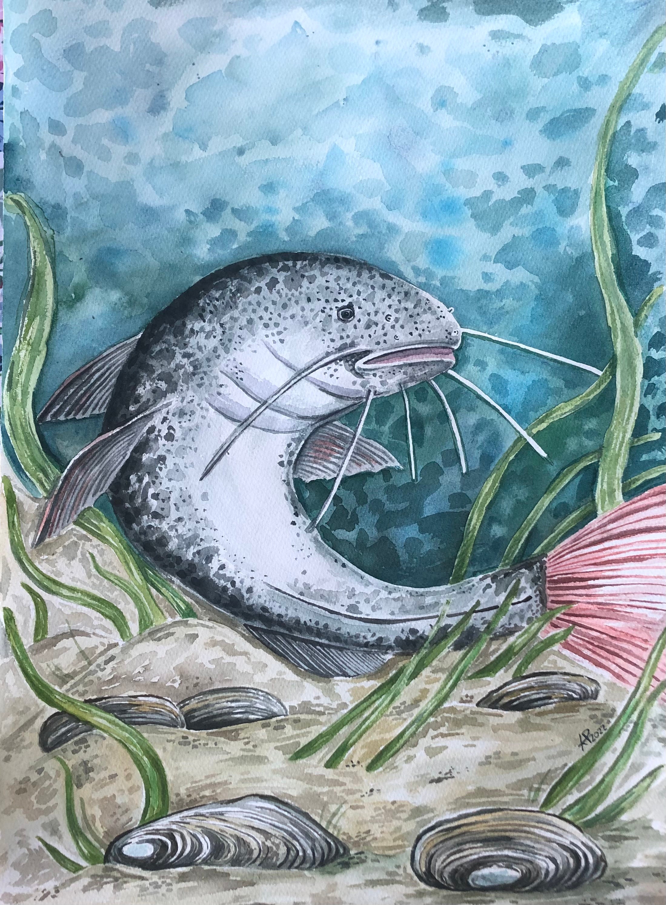 Catfish Painting