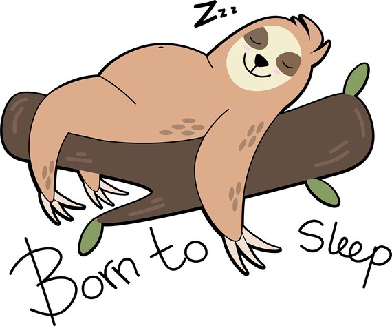 The Very Sleepy Sloth