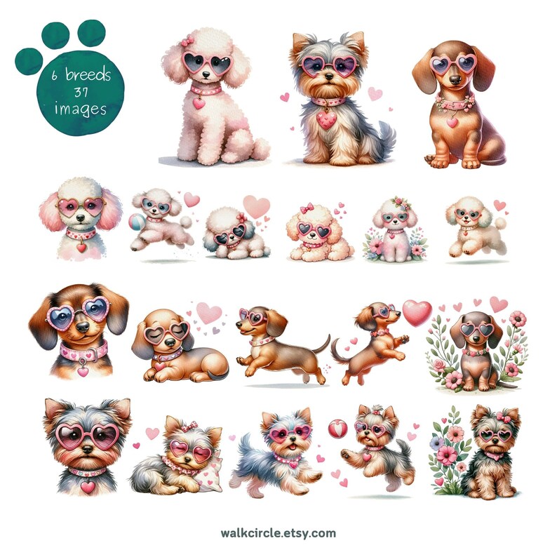 Adorable Dog Breed Love Theme Watercolor Clipart, 37 PNG Cute Dog ...