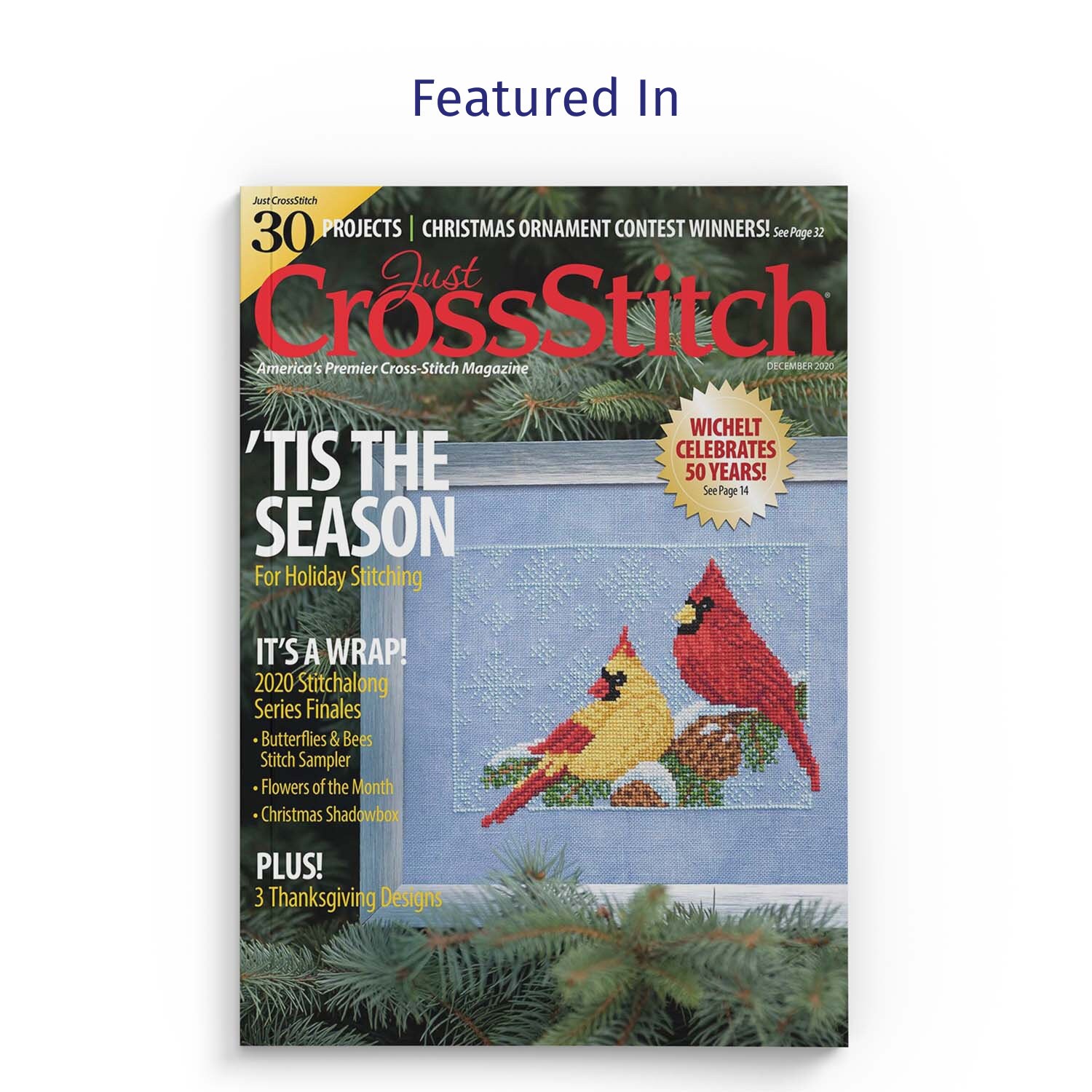 Cozy Cardinals Cross Stitch Pattern - Etsy