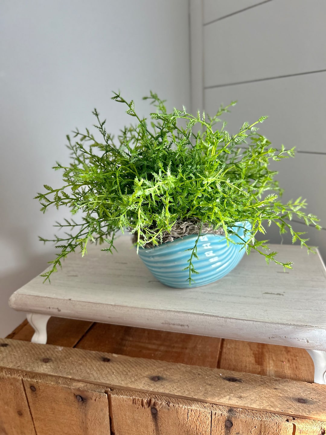 Coastal Flower Centerpiece, SMALL Blue Sea Shell Planter,coastal Floral ...